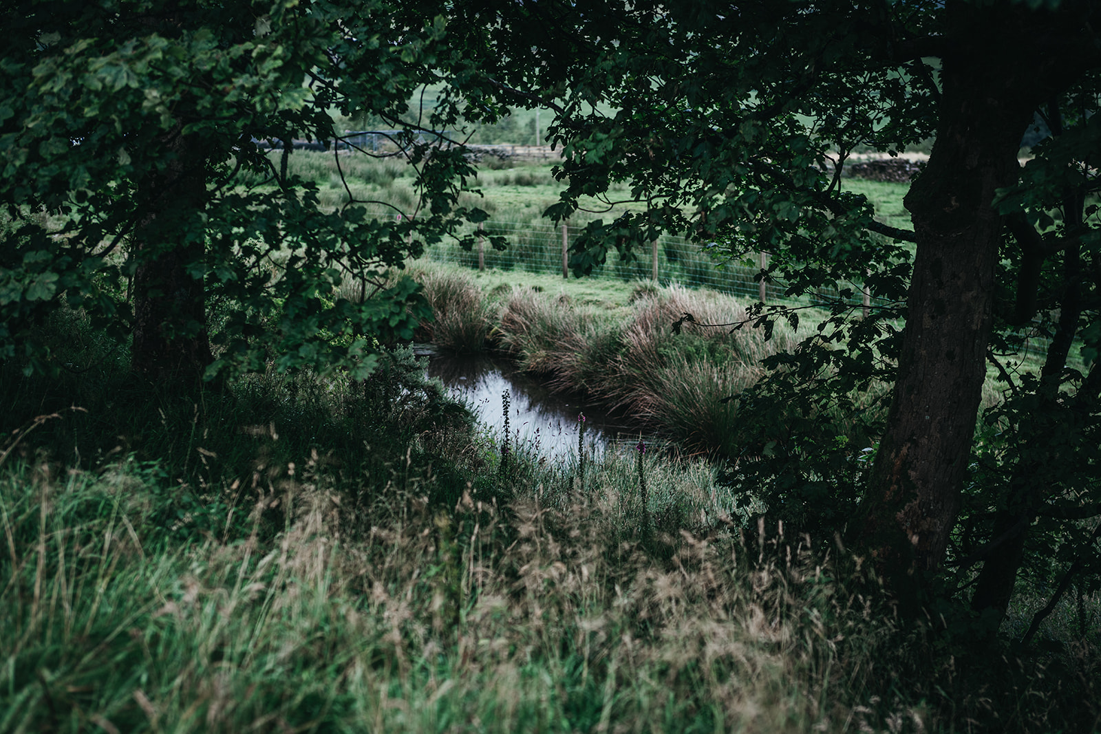 New campaign launched for riparian owners - Eye on Calderdale
