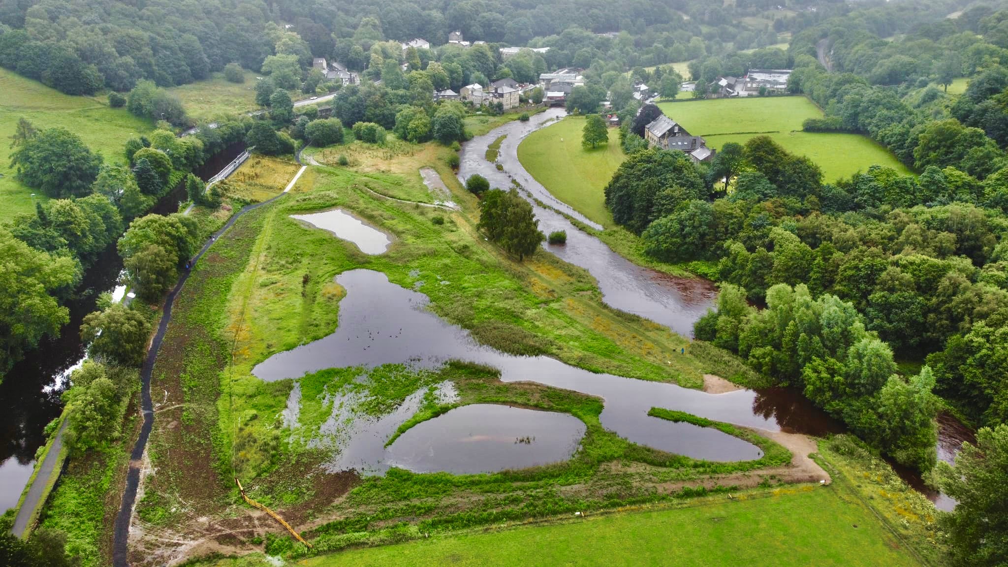 Wetland nature reserve at Brearley Fields - Eye on Calderdale